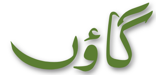 Organic Products – gaon